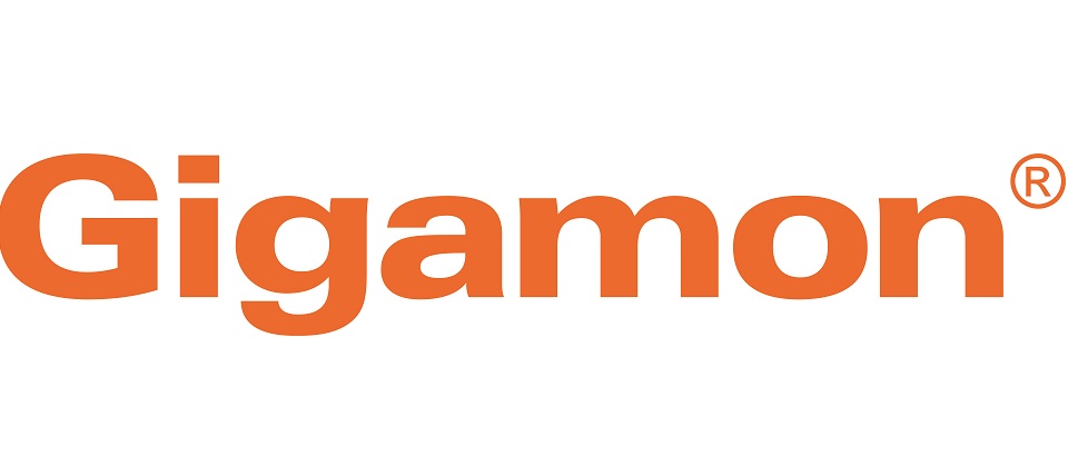 Gigamon率先推出可全面掌握公有雲動態的可視性解決方案 | iThome